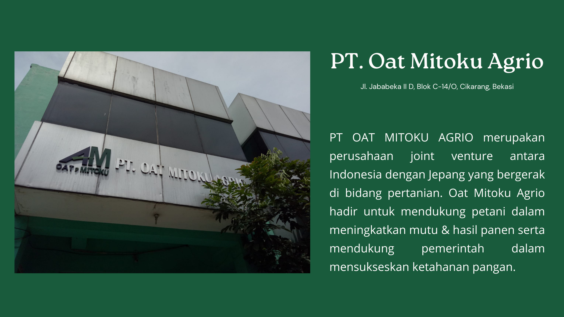 Tentang Kami - PT. OAT MITOKU AGRIO
