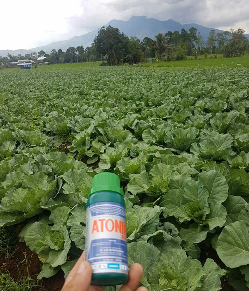 Tentang Kami - PT. OAT MITOKU AGRIO